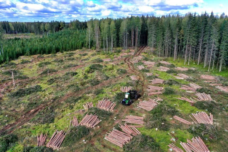 Agriculture And Forestry | Glopedia