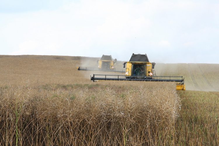 Harvesting Machinery | Glopedia
